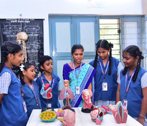 JMJ English Mediun High School